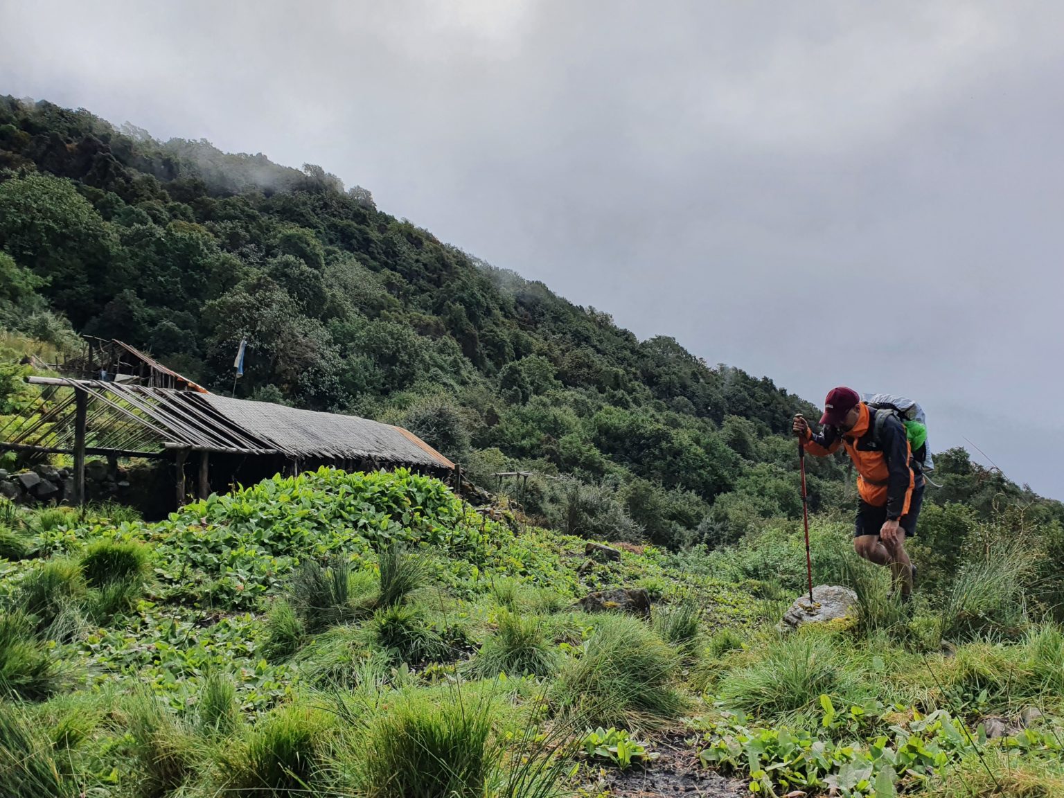 Explore, The UnExplored: Sikles to Kori Trek - Jhilke Hulaki