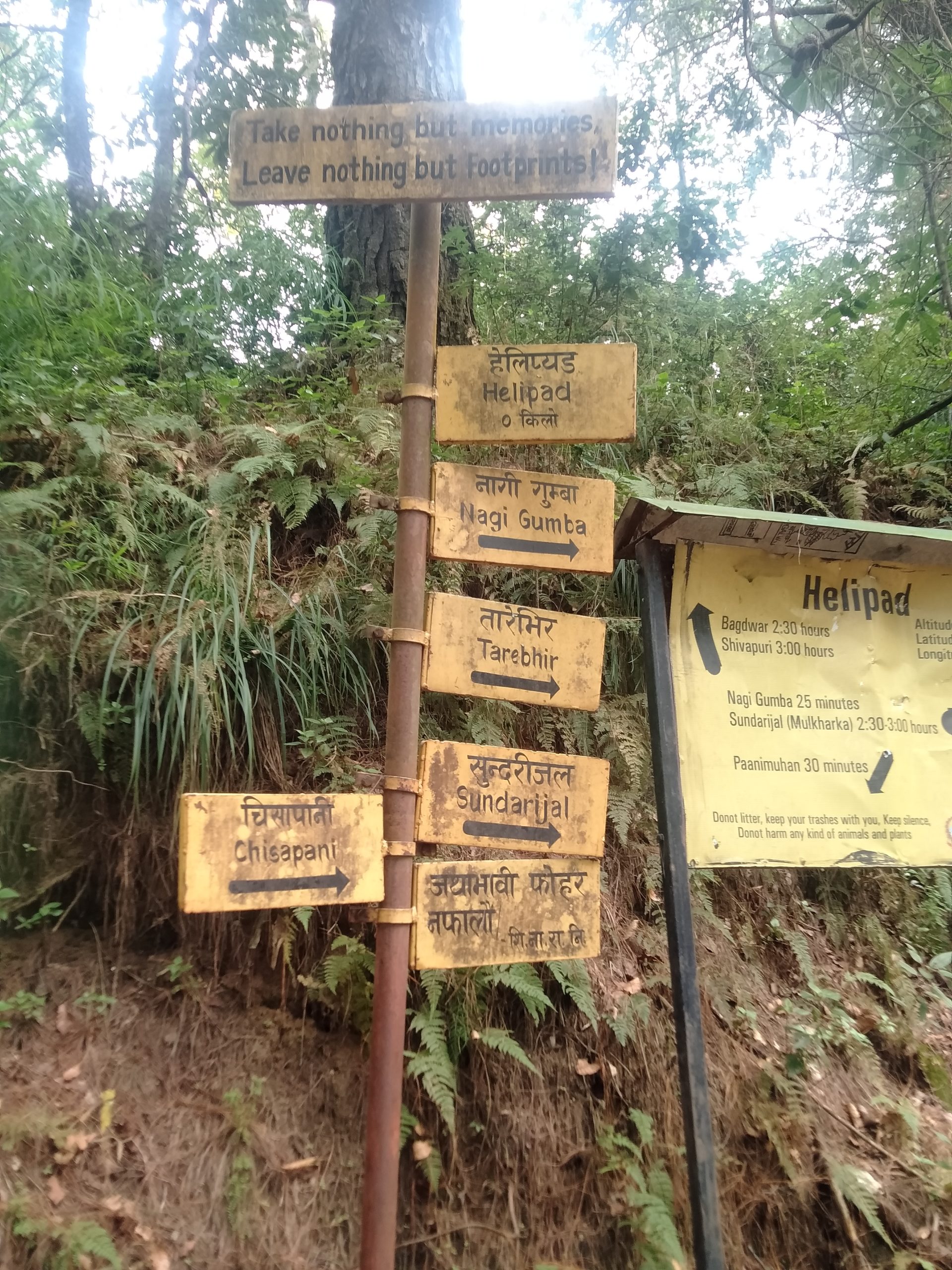 Shivapuri Tarevir: A Short Hike for Refreshment - Jhilke Hulaki