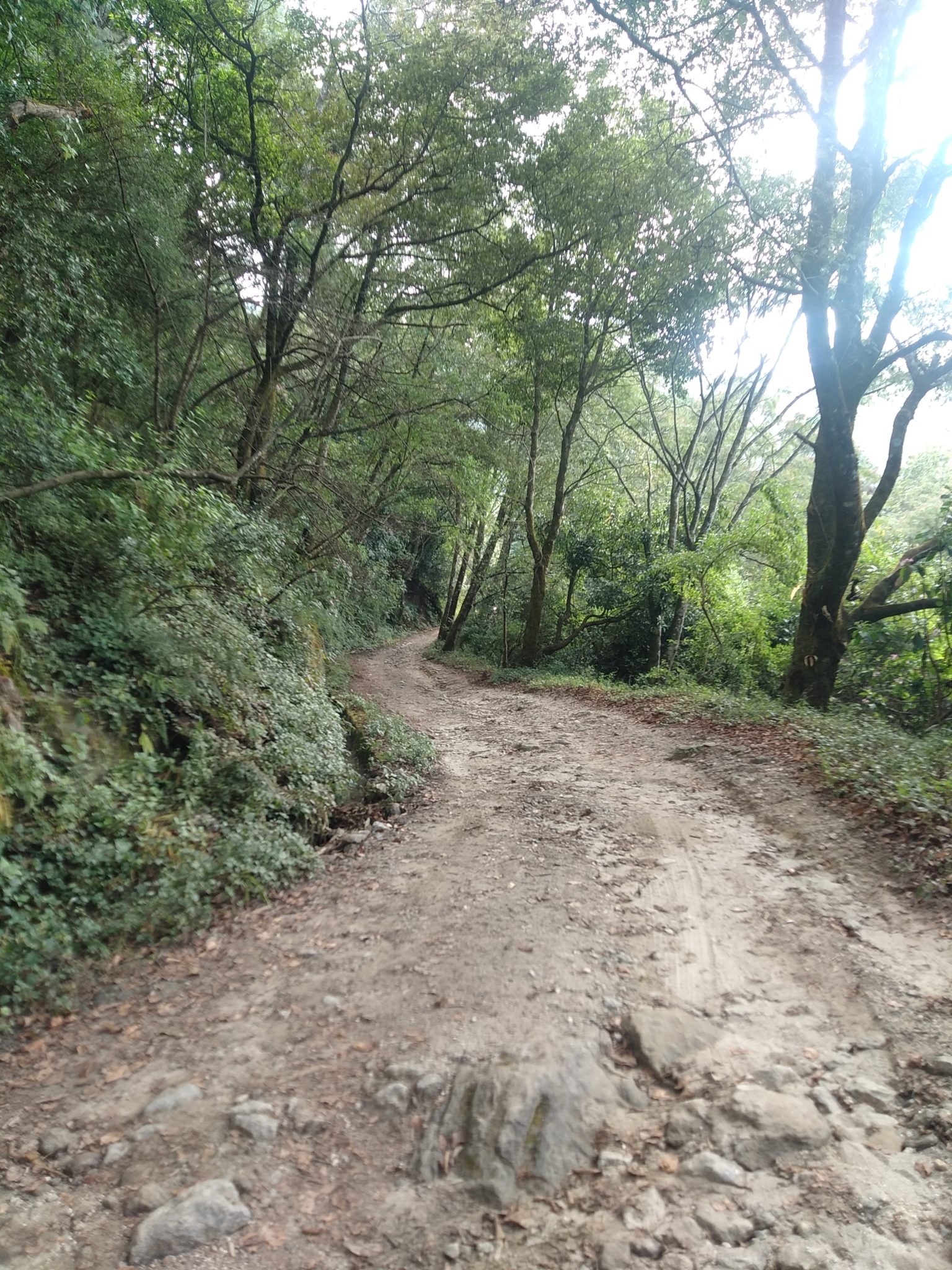 Shivapuri Tarevir: A Short Hike for Refreshment - Jhilke Hulaki