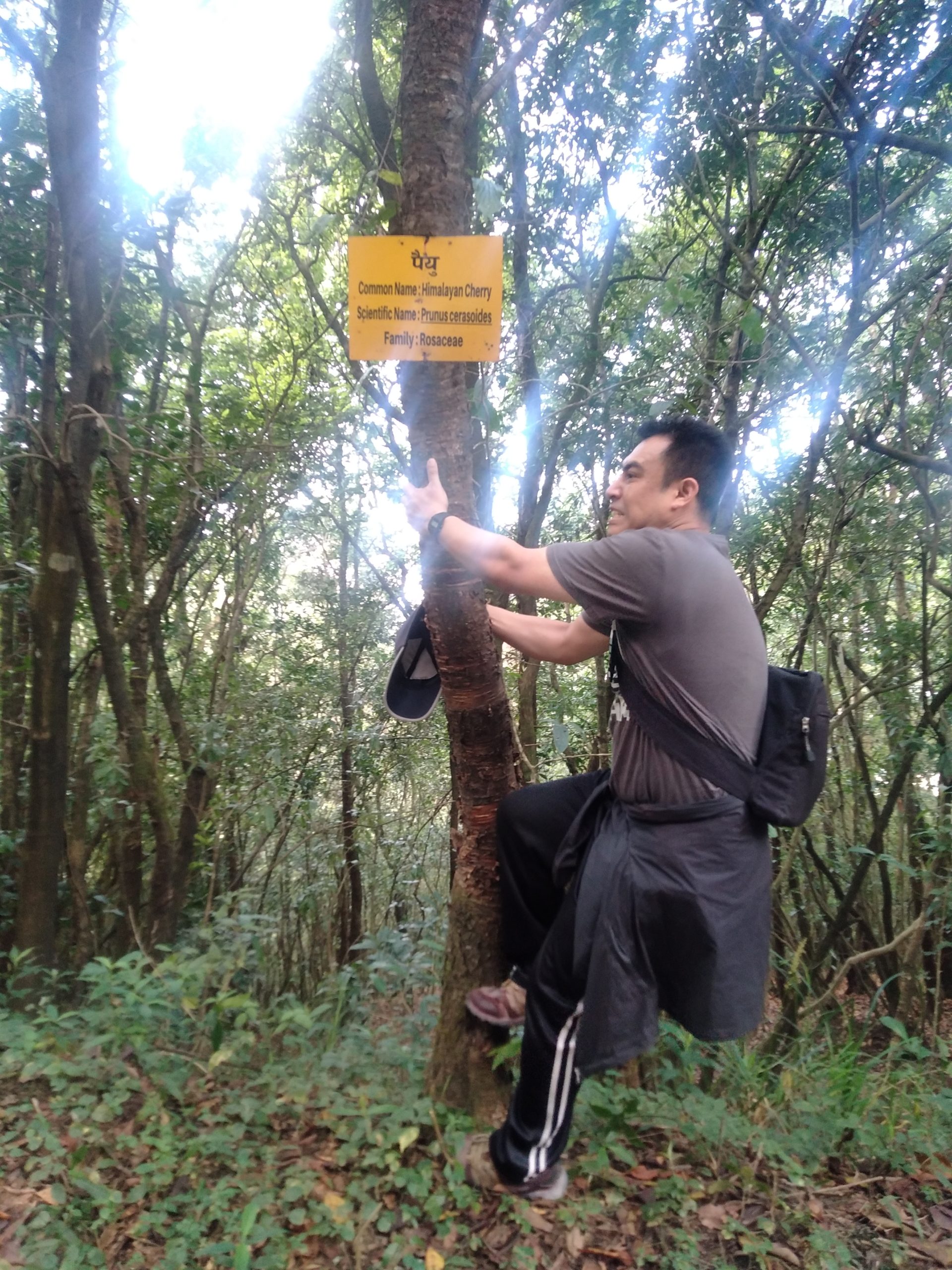 Shivapuri Tarevir: A Short Hike for Refreshment - Jhilke Hulaki