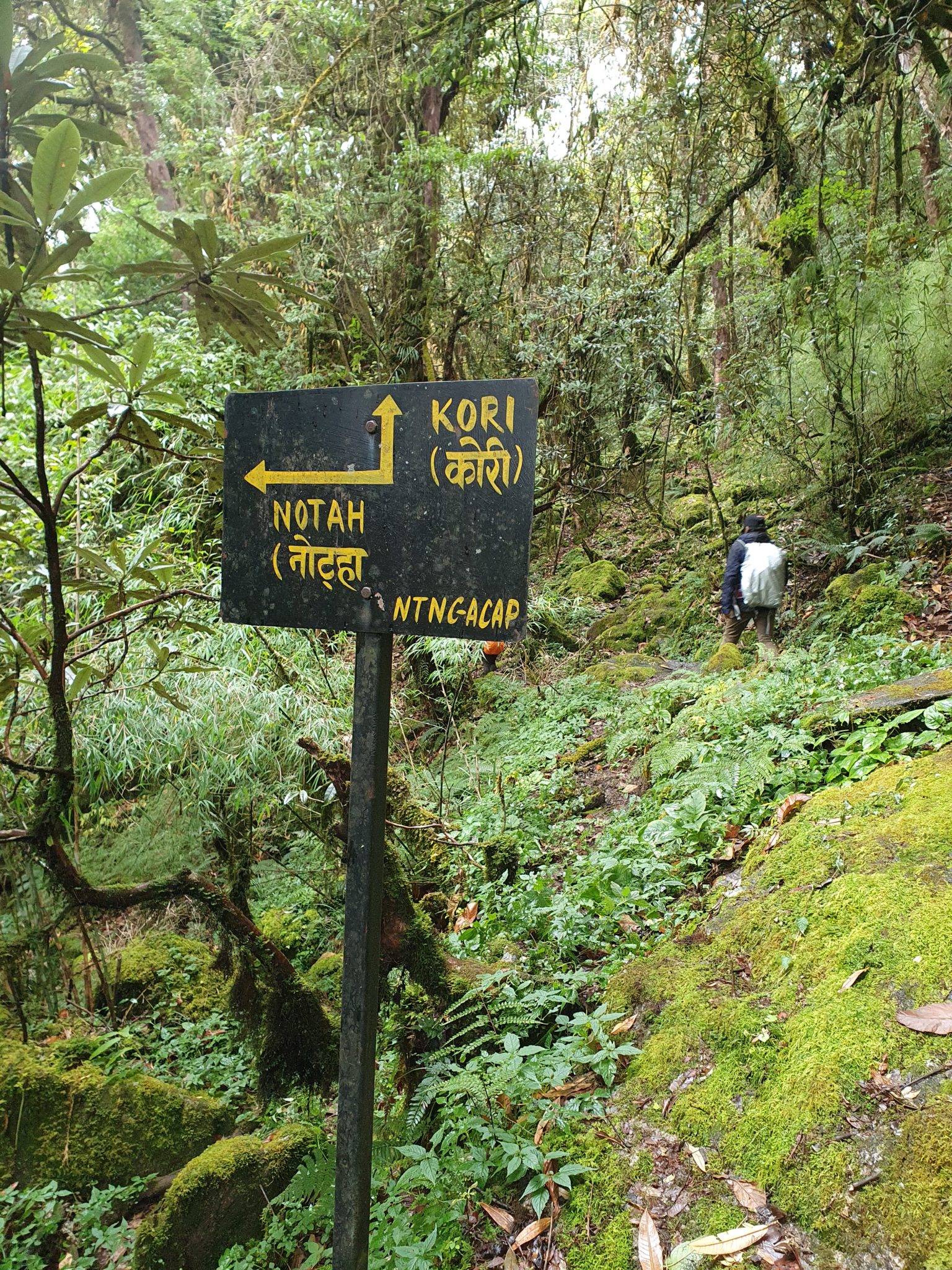 Explore, The UnExplored: Sikles to Kori Trek - Jhilke Hulaki