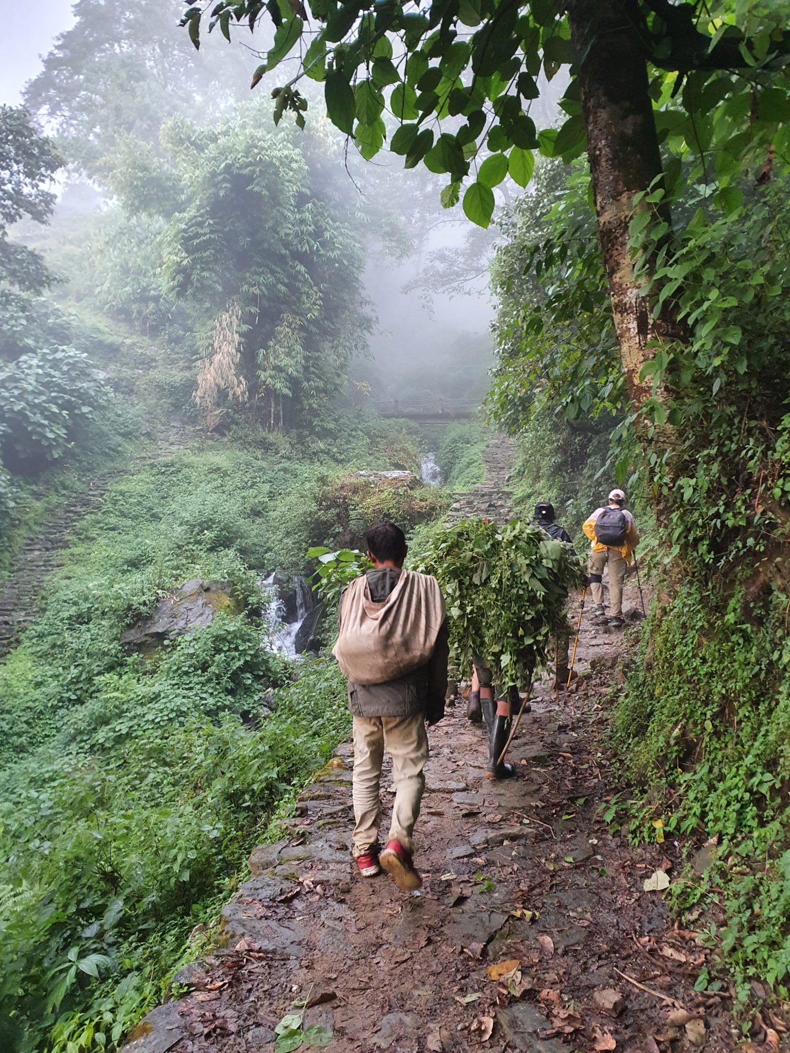 Explore, The UnExplored: Sikles to Kori Trek - Jhilke Hulaki