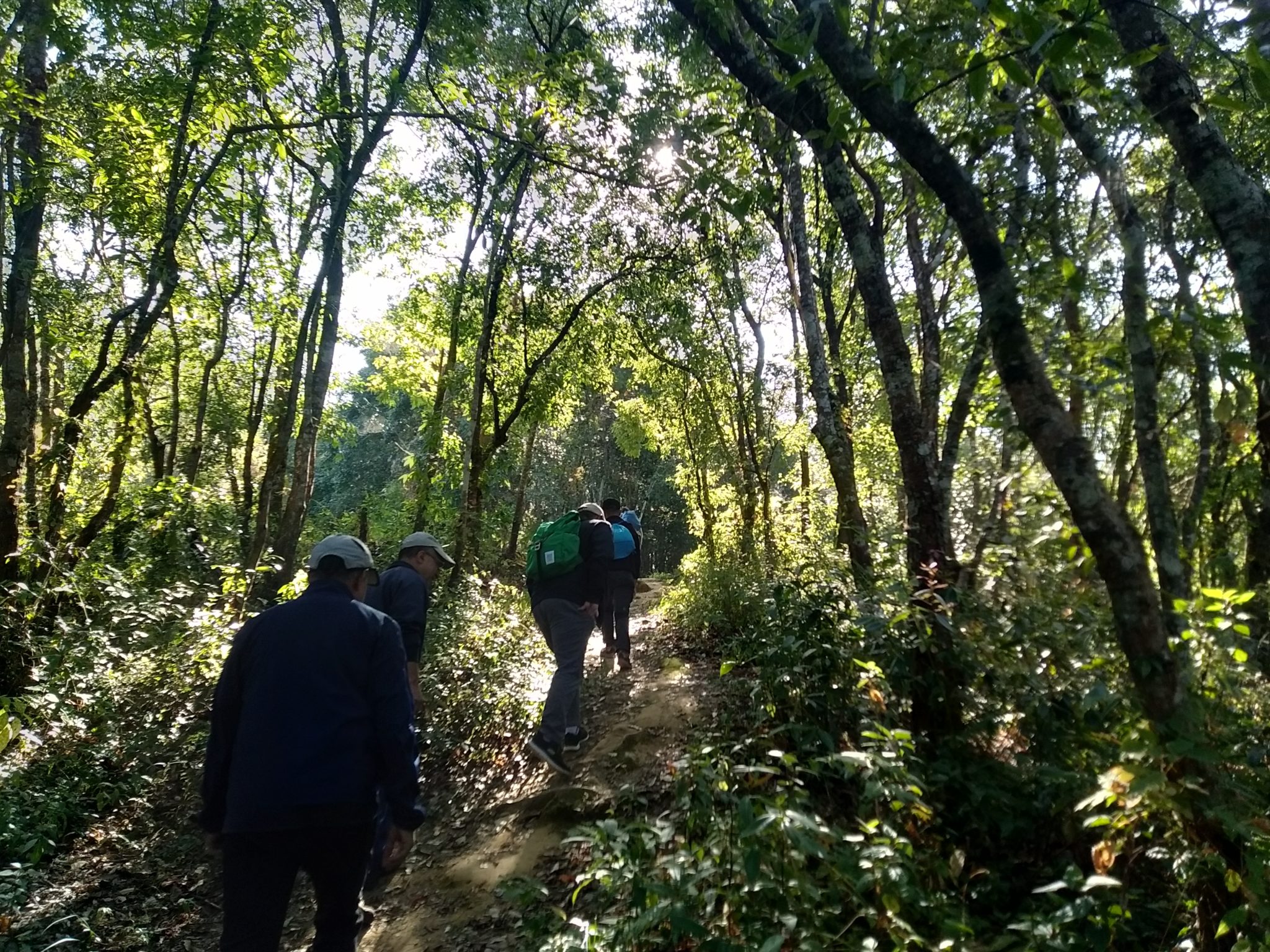 Godawari to Lamatar Hiking Expedition with Intellectual Minds - Jhilke ...