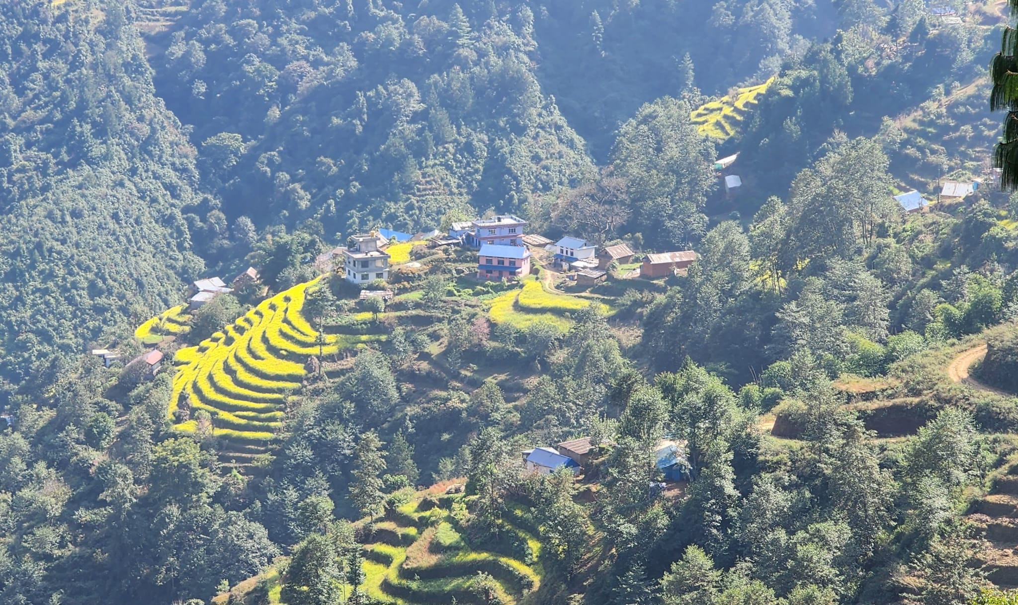 Godawari to Lamatar Hiking Expedition with Intellectual Minds - Jhilke ...